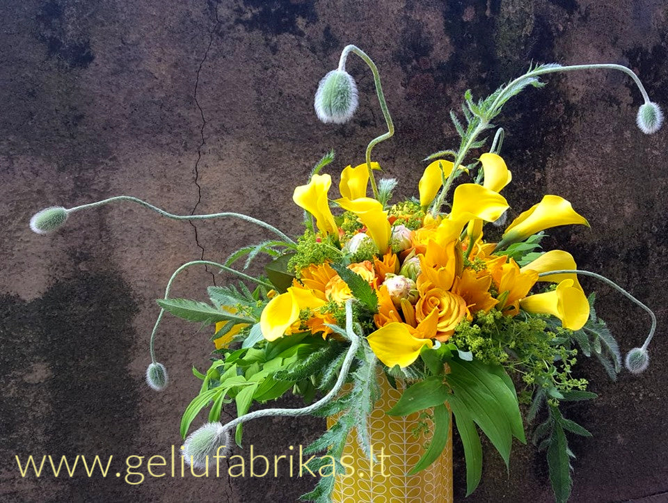 Saulė: Kalijos ir Rožės – Gėlių Fabrikas